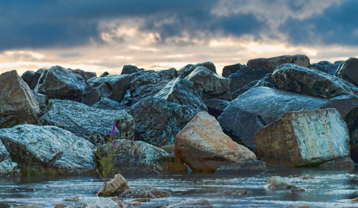 Shadow Lake II - Woodland Homes